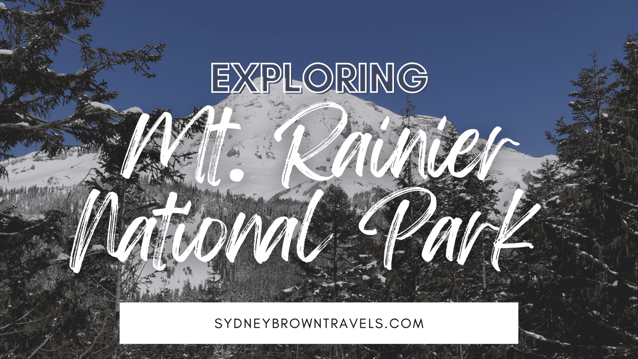 Exploring Mt. Rainier National Park – Sydney Brown Travels