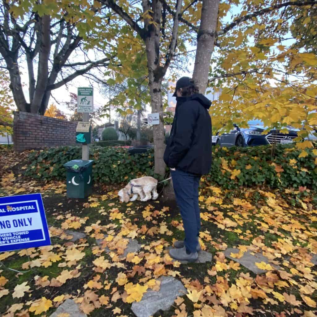 Things to Do in Seattle in the Fall (UPDATED 2023)