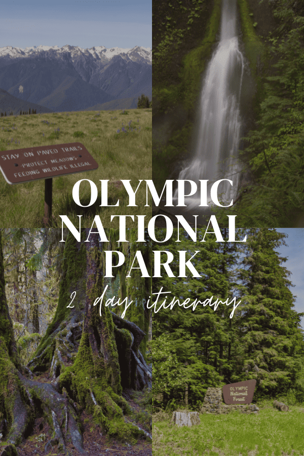 2 Day Olympic National Park Itinerary for First Timers