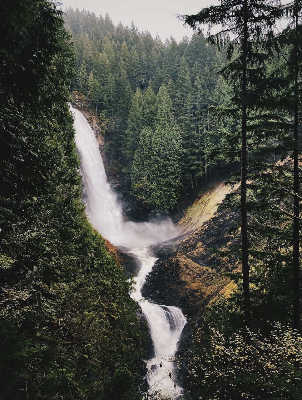 6 Best Fall Hikes in Washington State (Perfect for Beginners!)