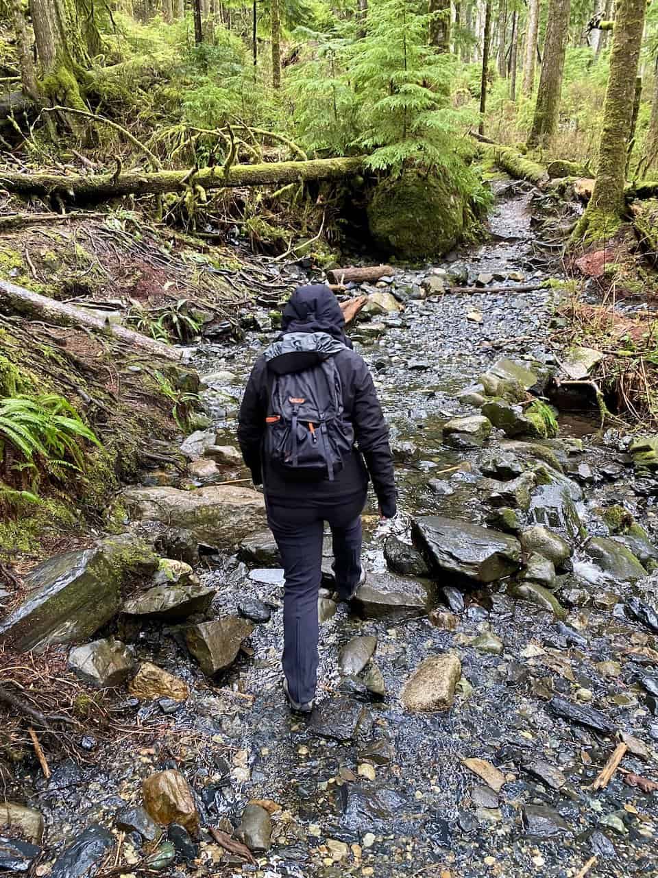 The Ultimate Pacific Northwest Packing List: Everything You Need for a ...