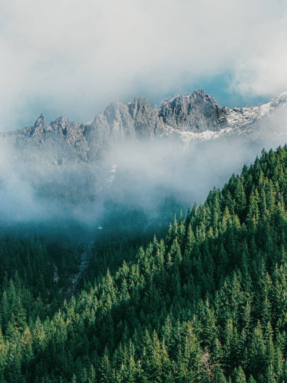 13 Best Spring Hikes Near Seattle (With Dog-Friendly Options!)